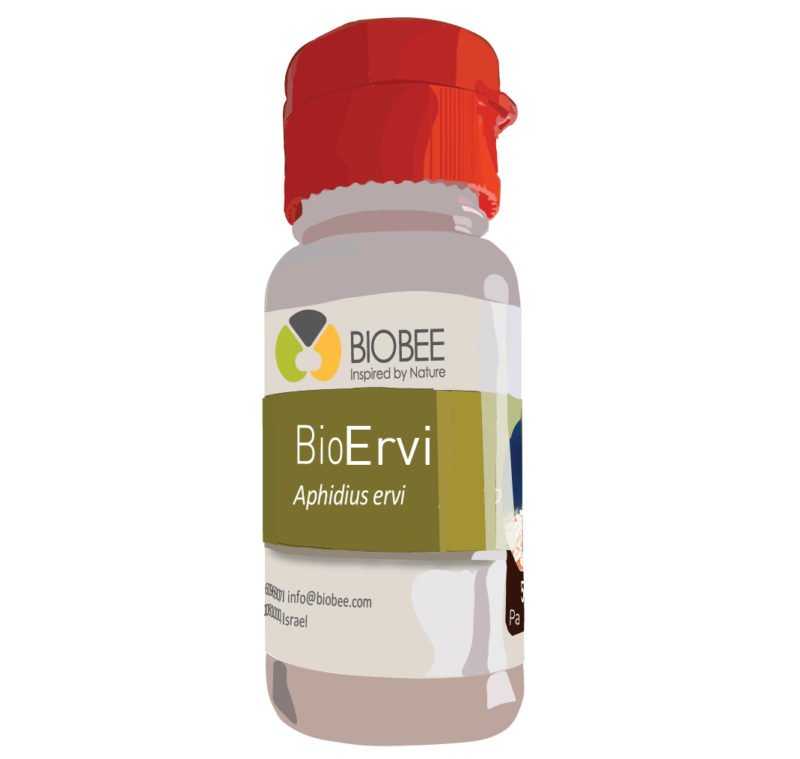 BioErvi - BioBee USA