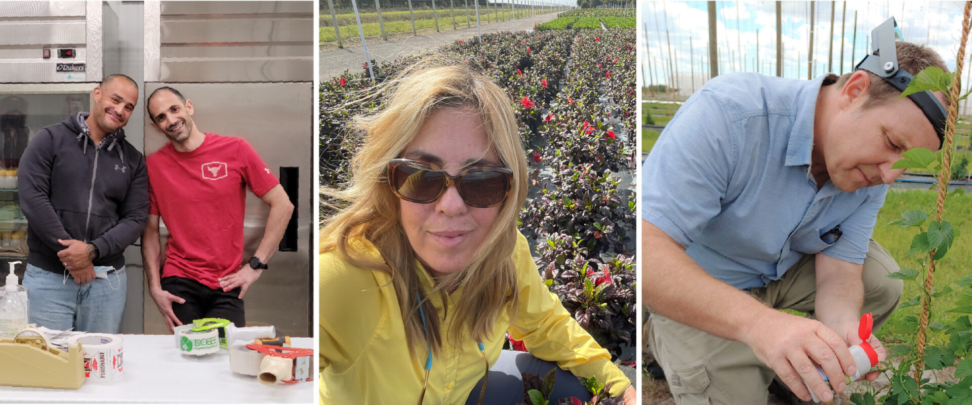 Working at BioBee - BioBee USA